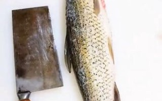 草鱼怎么切片去刺图解_草鱼切片去刺最简单方法