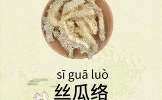 丝瓜络是什么东西_丝瓜络的功效与作用