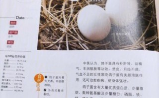 鸽子蛋怎么做好吃_鸽子蛋的营养价值