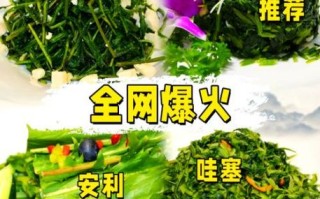 蒲公英怎么吃_蒲公英的食用方法有哪些