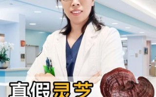 纯野生灵芝一斤10000元值不值_如何辨别真假