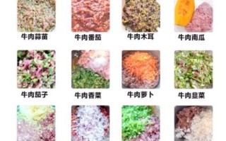 牛肉饺子馅怎么调才嫩_牛肉饺子馅配方比例