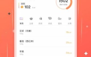 食物热量查询app哪个好_如何计算每日热量