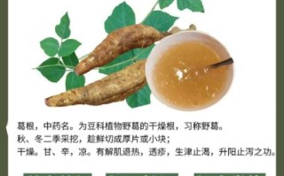 粉葛不能和什么一起吃_粉葛的禁忌人群有哪些