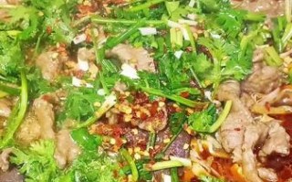 家常水煮肉片怎么做_水煮肉片需要哪些调料