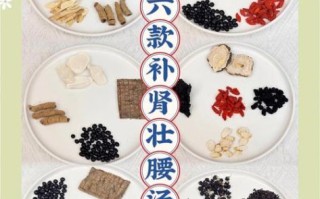 男人养肾补精最佳炖汤_男人喝什么汤补肾壮阳