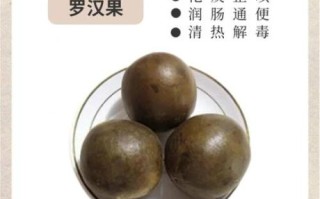 罗汉果的功效与作用有哪些_罗汉果能治什么病