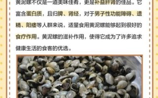 黄螺怎么保存到第二天_黄螺隔夜还能吃吗