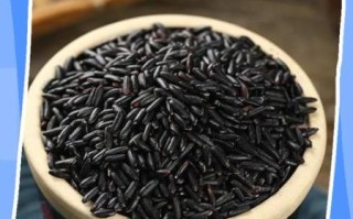 黑米减肥法真的有效吗_黑米减肥一周瘦几斤