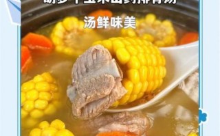 胡萝卜玉米排骨汤的做法_排骨汤怎么炖才白