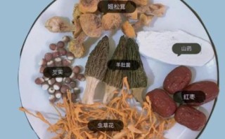 松茸炖鸡松茸什么时候下锅_松茸下锅最佳时间