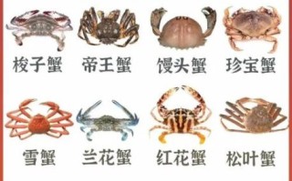 海蟹的种类有哪些_如何区分海蟹品种