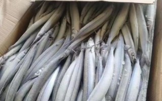 马步鱼是什么鱼_马步鱼产地在哪里