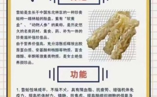 雪蛤是什么_雪蛤的功效与作用