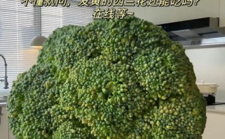 西兰花变黄吃了恶心_还能吃吗