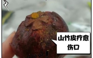 山竹皮的功效与作用_山竹皮有哪些禁忌