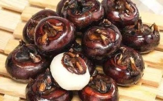 和荸荠相似的植物有哪些_怎么区分