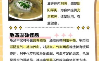 王八汤对男性有何功效_男人喝王八汤多久见效