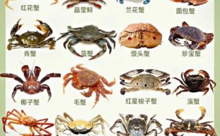螃蟹吃什么食物为主_家养螃蟹喂什么最好