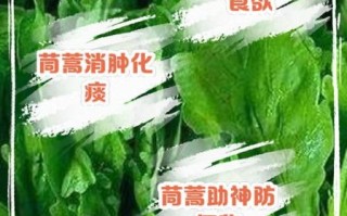 茼蒿治什么病最好_茼蒿降血压效果好吗