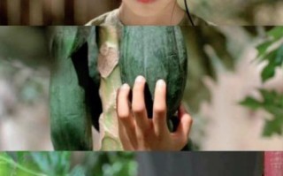 青木瓜之味免费观看_哪里能看高清完整版