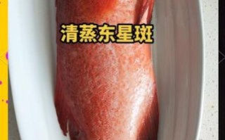 东星斑鱼多少钱一斤_东星斑鱼怎么做好吃