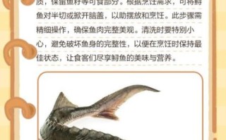 中华鲟鱼怎么处理_中华鲟鱼怎么清洗