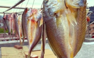 鱼干怎么晒_鱼干晒多久才能吃