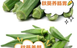 黄秋葵的营养价值_黄秋葵怎么吃最营养