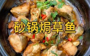 草鱼怎么炖才好吃_炖草鱼的家常做法