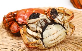 螃蟹图片怎么拍_真实高清螃蟹照片怎么找