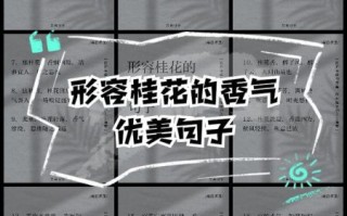 金桂飘香怎么造句_金桂飘香是什么意思