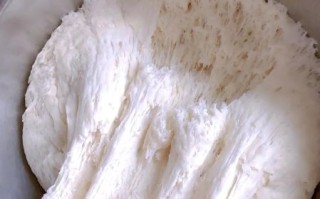 马齿苋馒头怎么做_马齿苋馒头做法窍门