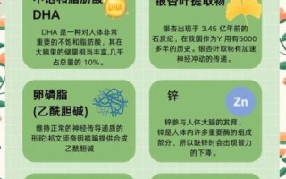 学生补脑食谱有哪些_如何快速提高记忆力