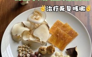 鳄鱼肉煲汤的功效_鳄鱼肉煲汤的做法