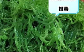 龙须菜的功效与作用_龙须菜怎么吃最营养