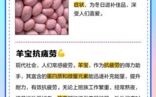羊宝怎么吃补肾效果最佳_羊宝补肾的正确吃法