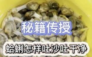 蚬子怎么吐沙_蚬子焯水几分钟