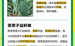 苦菜的功效与作用有哪些_苦菜怎么吃最养生