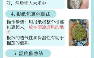 榴莲催熟剂怎么用_安全吗