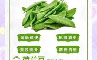 荷兰豆要不要焯水_荷兰豆焯水多久