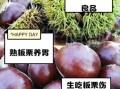 板栗生吃好还是熟吃好_生吃熟吃功效区别