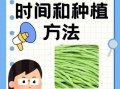 豇豆怎么种_豇豆种植时间和方法