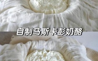 奶酪怎么做_家庭奶酪制作步骤