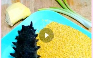 海参煮粥怎么做法_海参粥怎样煮才好吃