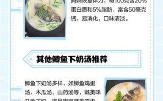 产妇月子鲫鱼汤的做法_鲫鱼汤下奶吗