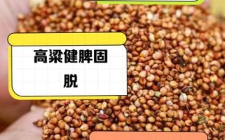 高粱有什么功效与作用_高粱的营养价值及食用禁忌