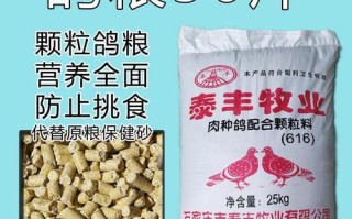 鸽子吃什么食物长得大又壮又肥_鸽子增肥饲料配方