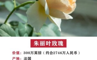 名贵花卉排行_哪些花最值钱