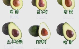 鳄梨怎么吃_鳄梨营养价值高吗